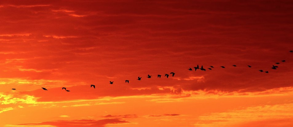 Migration mit dem DBATools Powershell Modul - SQL-Select.de